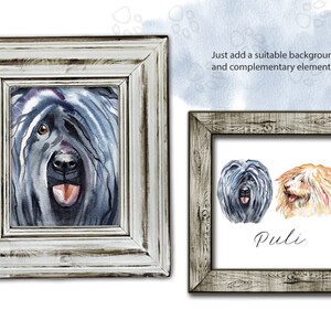 Watercolor Dog, Puli Breed, Fluffy Dog Clipart, Dog Breed Png - Etsy