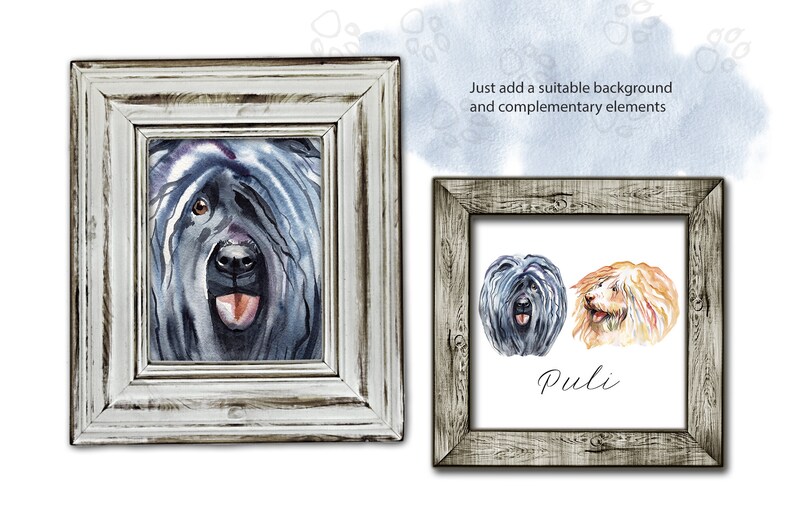 Watercolor Dog, Puli Breed, Fluffy Dog Clipart, Dog Breed Png - Etsy