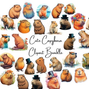 Capybara Clipart Capybara Stickers Cute Capybara Clipart Bundle Cute ...
