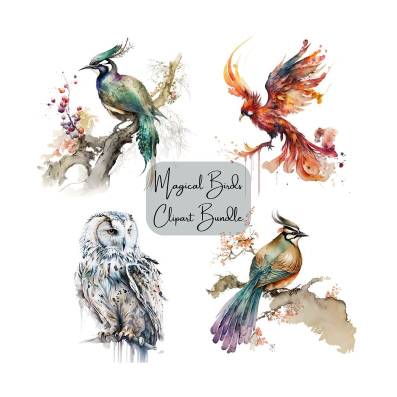 Birds Clipart Magical Fantasy Clipart Mythical Birds Clipart Garden ...