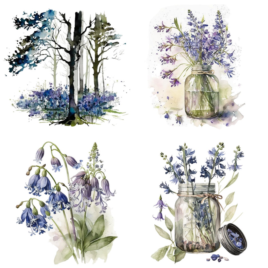 Bluebell Clipart Summer Spring Flowers Bluebell Png Transparent ...