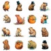 Capybara Clipart Capybara Stickers Cute Capybara Clipart Bundle Cute ...