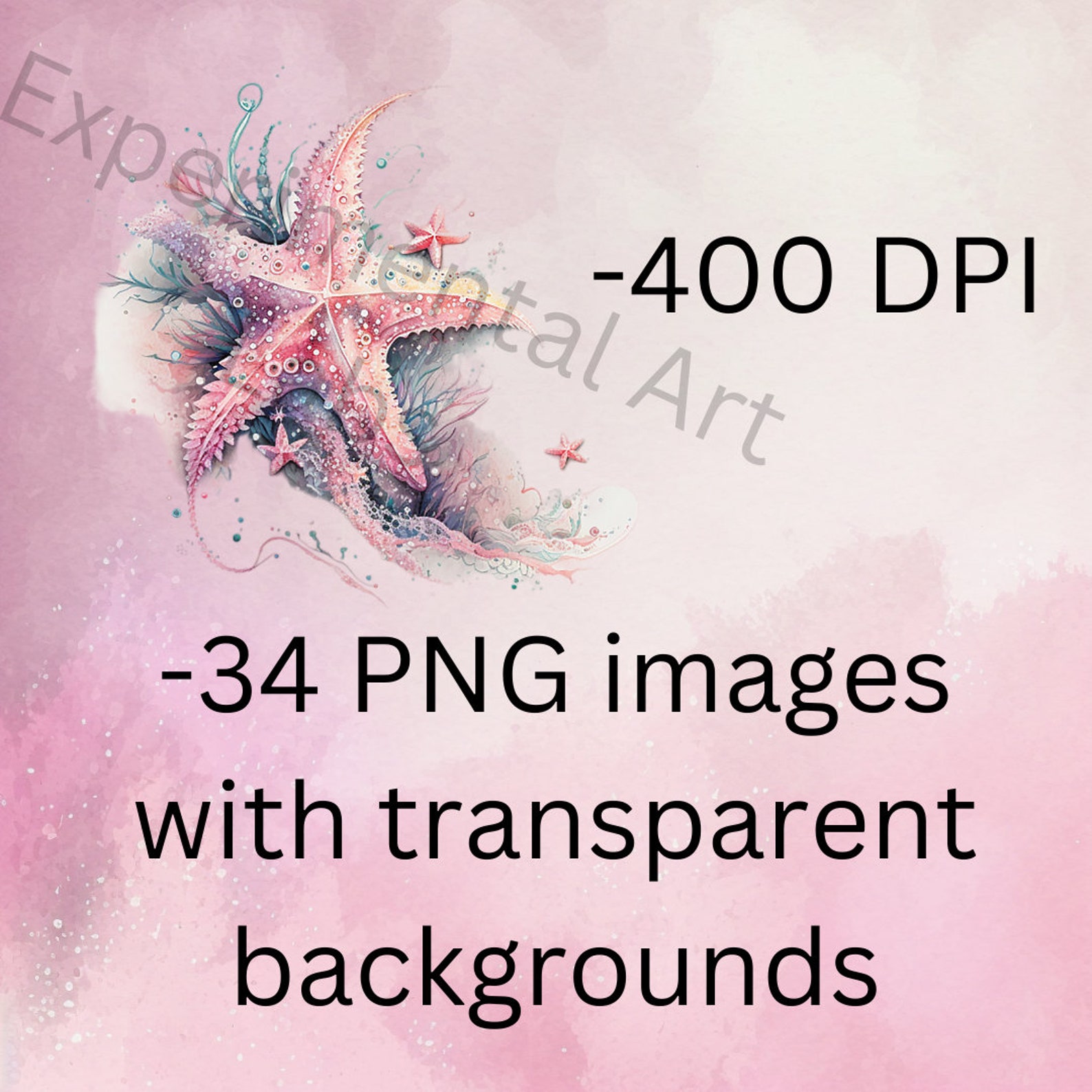 Watercolor Boho Nautical Clip Art Ocean Beach Wedding Clip Art Boho Art ...