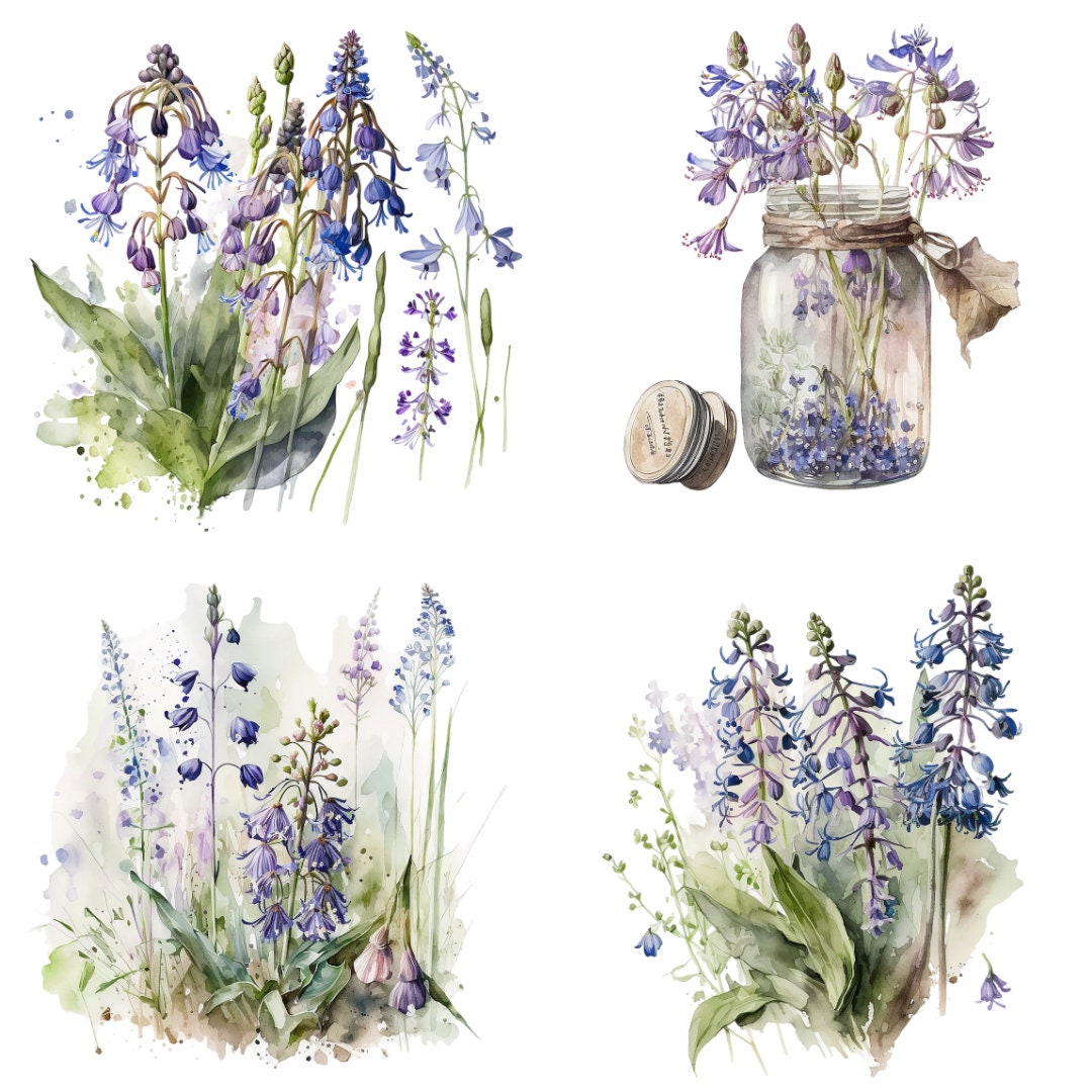 Bluebell Clipart Summer Spring Flowers Bluebell Png Transparent ...