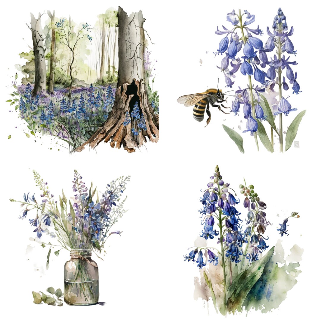 Bluebell Clipart Summer Spring Flowers Bluebell Png Transparent ...