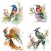 Birds Clipart Magical Fantasy Clipart Mythical Birds Clipart Garden ...