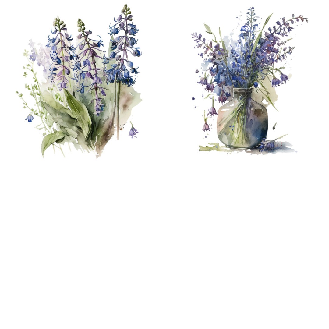 Bluebell Clipart Summer Spring Flowers Bluebell Png Transparent ...