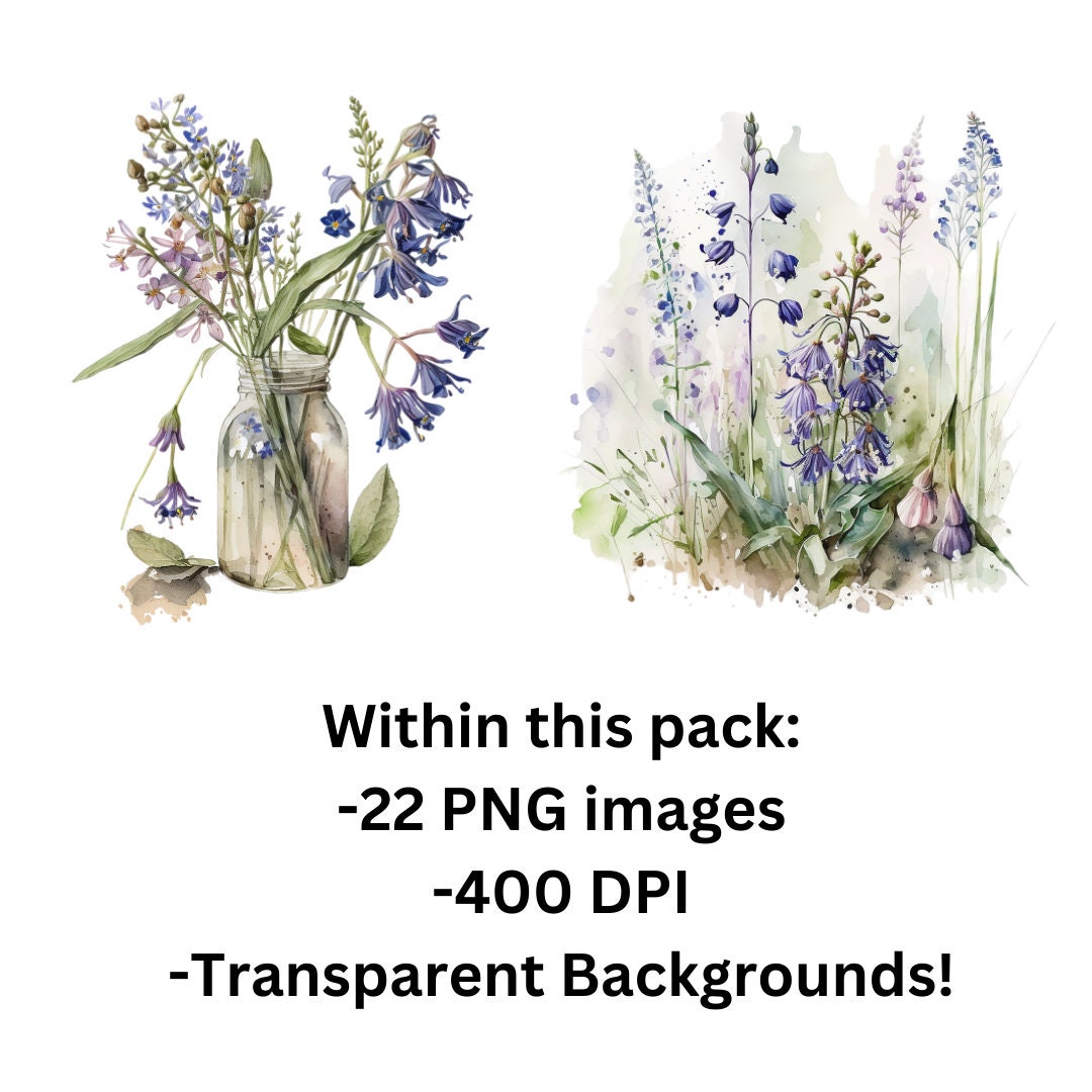 Bluebell Clipart Summer Spring Flowers Bluebell Png Transparent ...