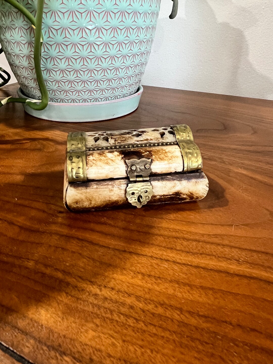 Camel Bone Trinket Box - Etsy