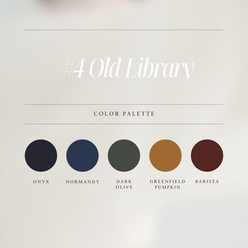 Color Palette Branding Kit for Airbnb Host Color Customization for ...