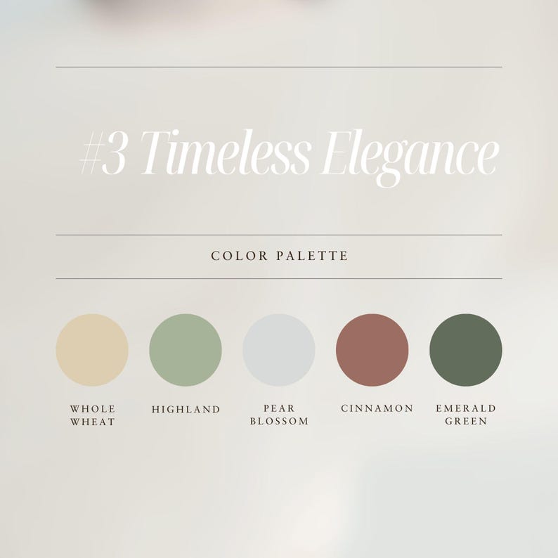 Color Palette Branding Kit for Airbnb Host Color Customization for ...