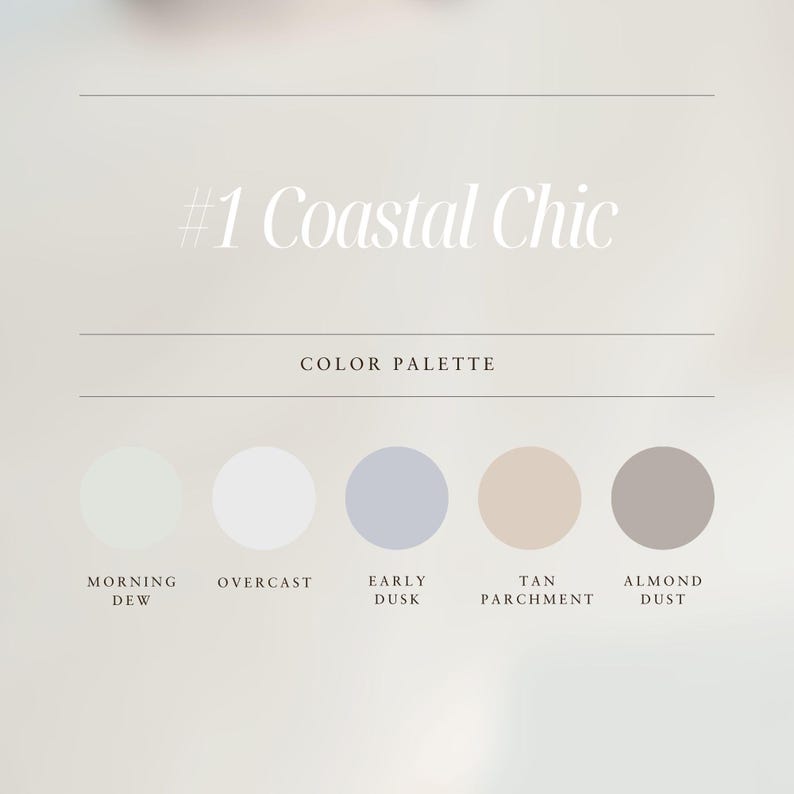 Color Palette Branding Kit for Airbnb Host Color Customization for ...