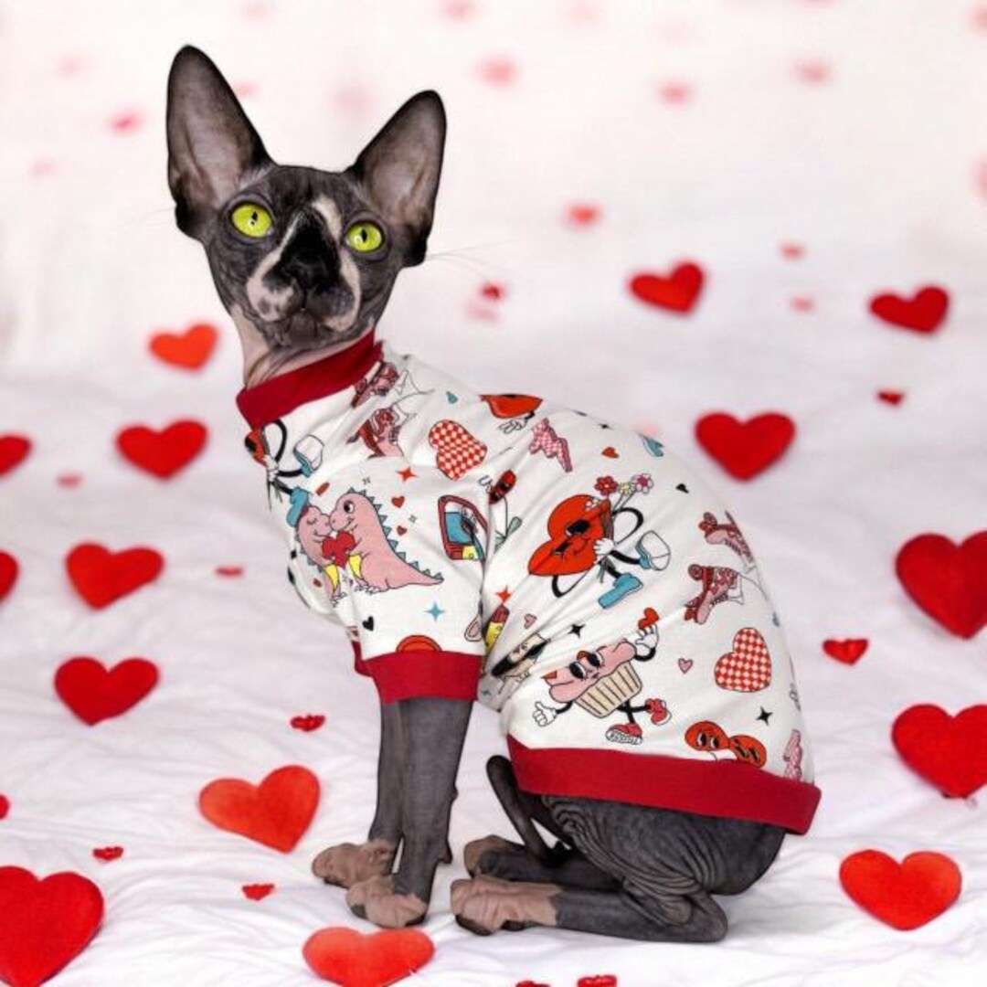 Sphynx Cat Shirt Long Sleeve Sphynx Cat Clothes Hairless Cat Clothes ...