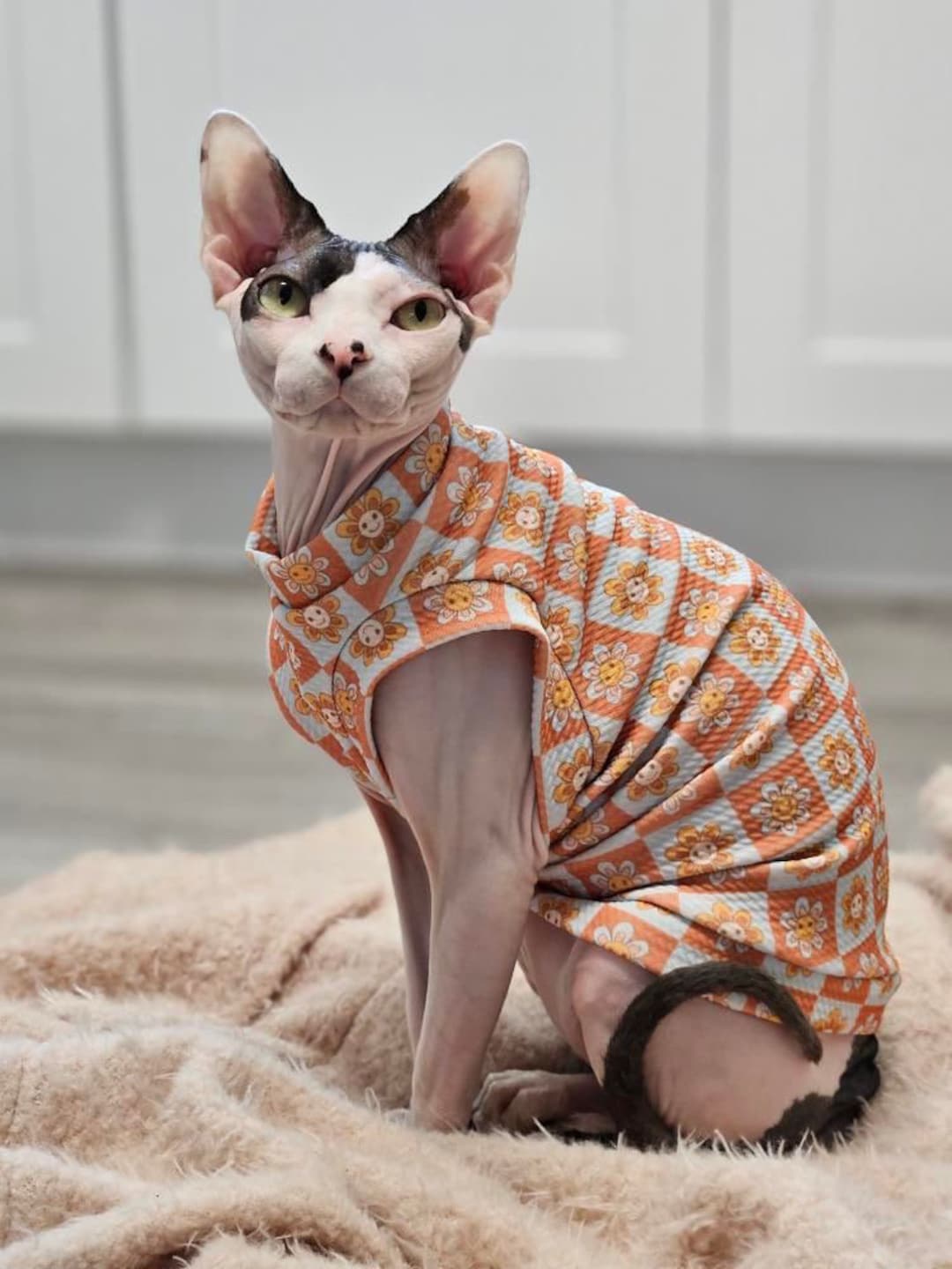 Sphynx Cat Shirt Sphynx Cat Clothes Hairless Cat Clothes Sphynx Cat ...