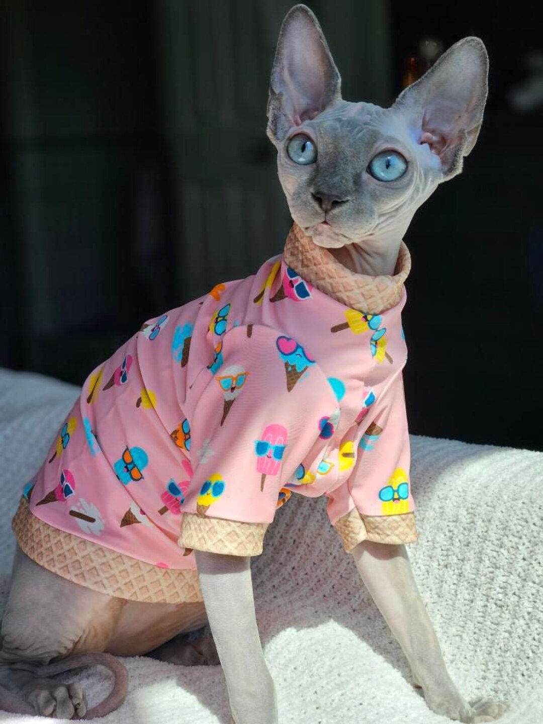 Sphynx SPF Shirt Sphynx Cat UV Shirt Sphynx Cat UV Protected Shirt ...