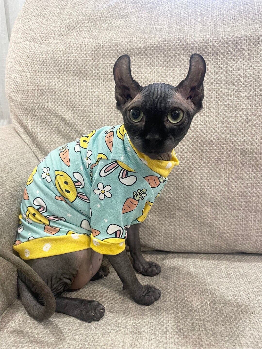 Sphynx Cat Shirt Sphynx Cat Clothes Hairless Cat Clothes Sphynx Cat Jumper Long Sleeve Sphynx ...