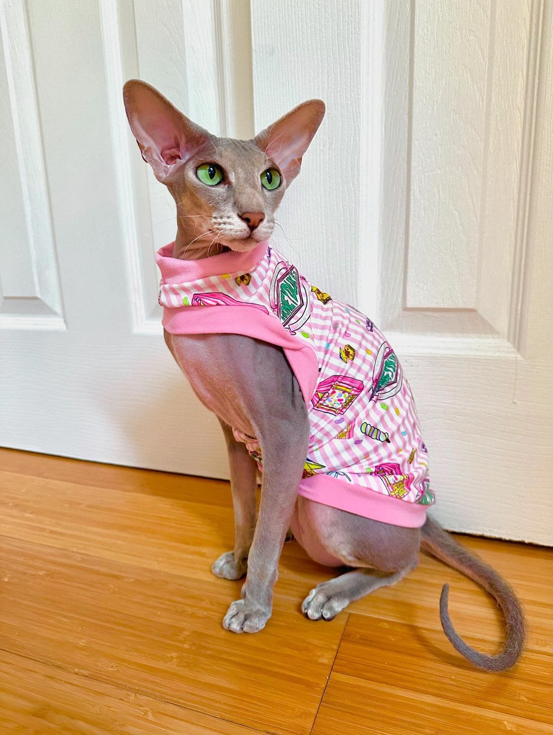 Sphynx Cat Shirt One Arm Hole Sphynx Cat Clothes Hairless Cat Clothes ...
