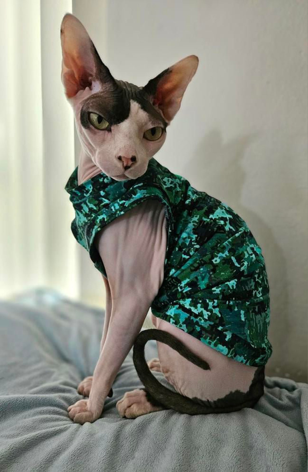 Sphynx Cat Shirt Sphynx Cat Clothes Hairless Cat Clothes Sphynx Cat ...