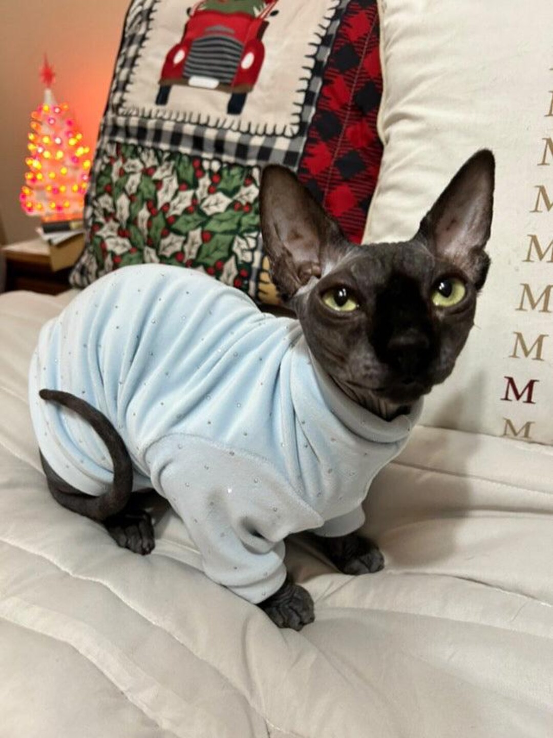 Long Sleeve Sphynx Cat Shirt Sphynx Sweater Hairless Cat Clothes Sphynx Cat Clothes Lykoi Cat ...