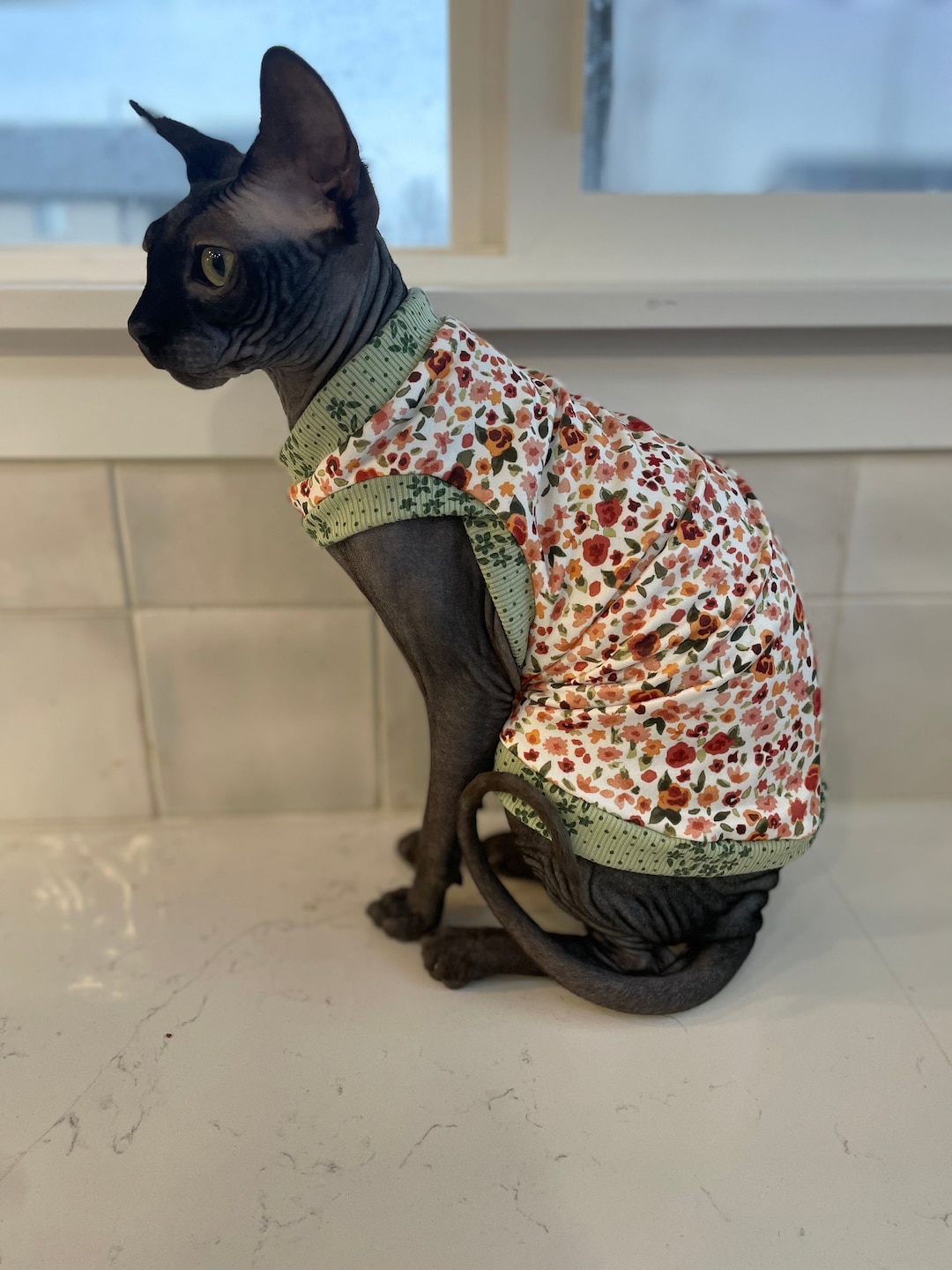 Sphynx Cat Clothes Sphynx Cat Shirt One Arm Hole Sphynx Cat Clothes ...