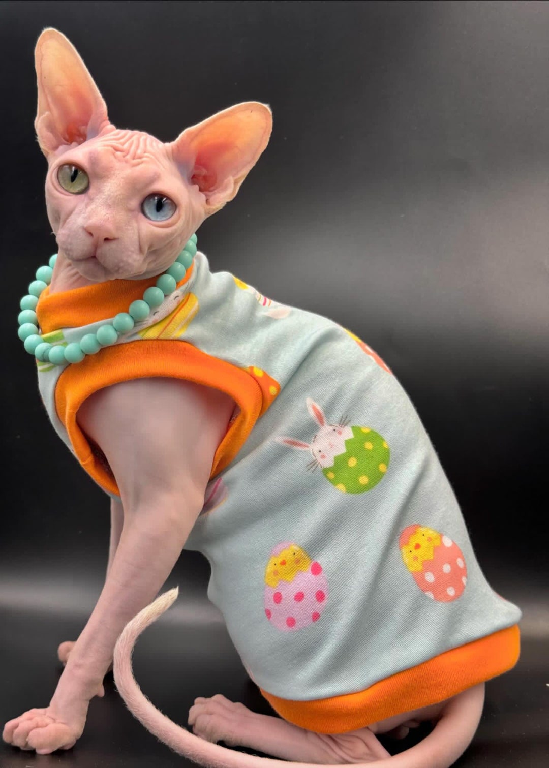 Sphynx Cat Shirt Easter Sphynx Cat Clothes Hairless Cat Clothes Sphynx ...