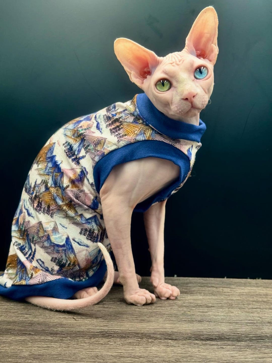 Sphynx Cat Shirt Sphynx Cat Clothes Hairless Cat Clothes Sphynx Cat ...