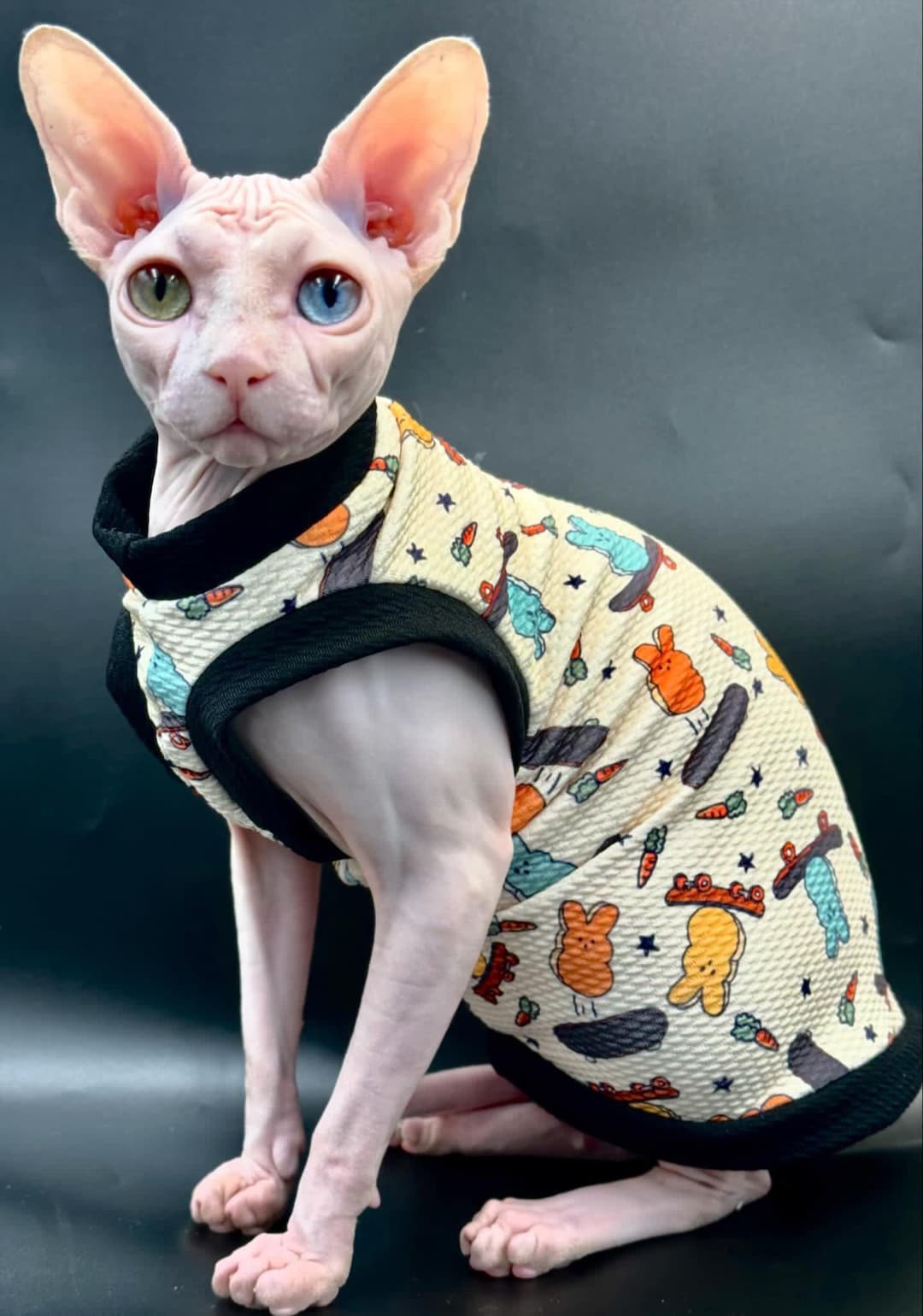 Sphynx Cat Shirt Easter Sphynx Cat Clothes Hairless Cat Clothes Sphynx ...