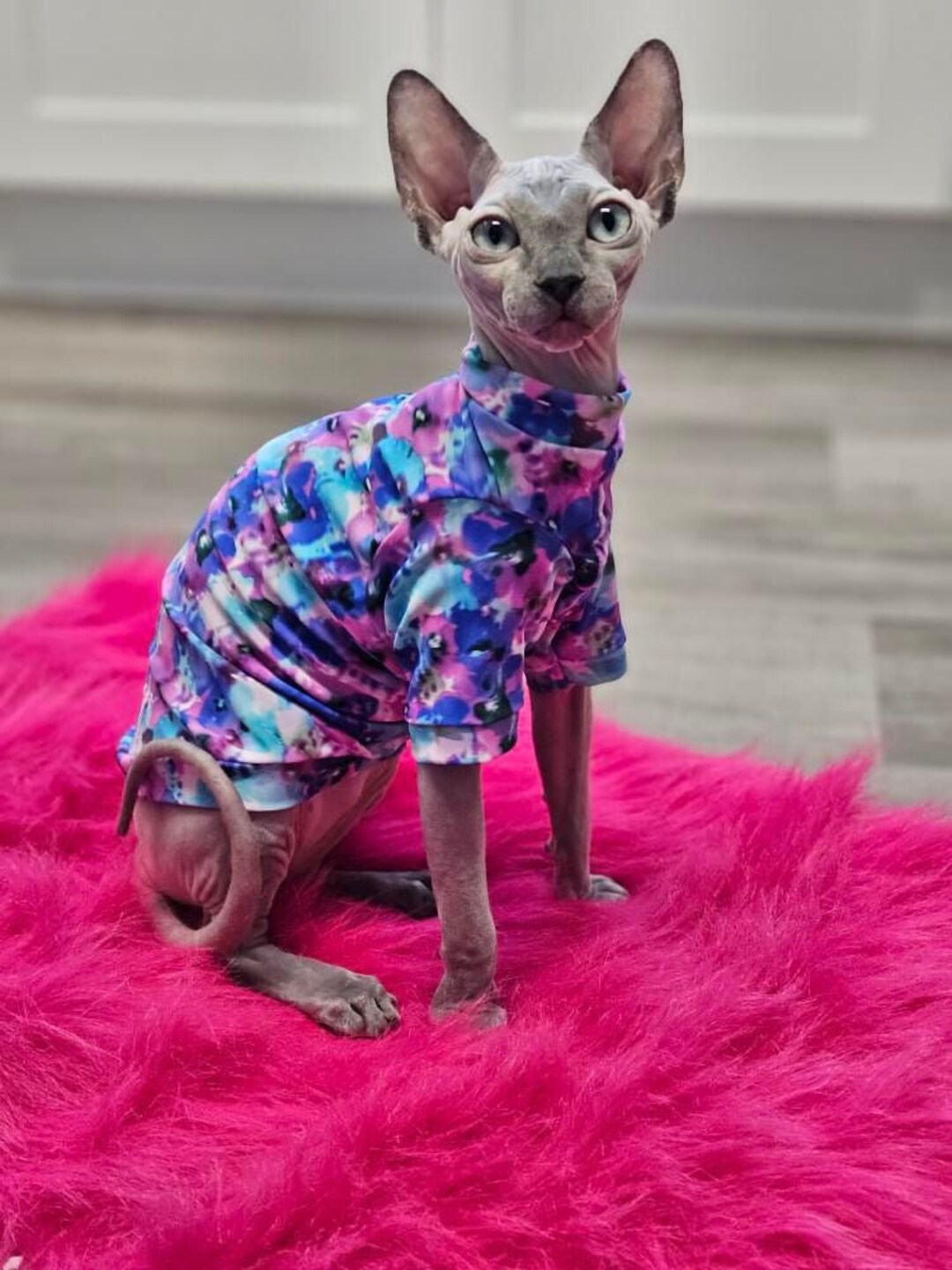 Sphynx SPF Shirt Sphynx Cat UV Shirt Sphynx Cat UV Protected Shirt ...