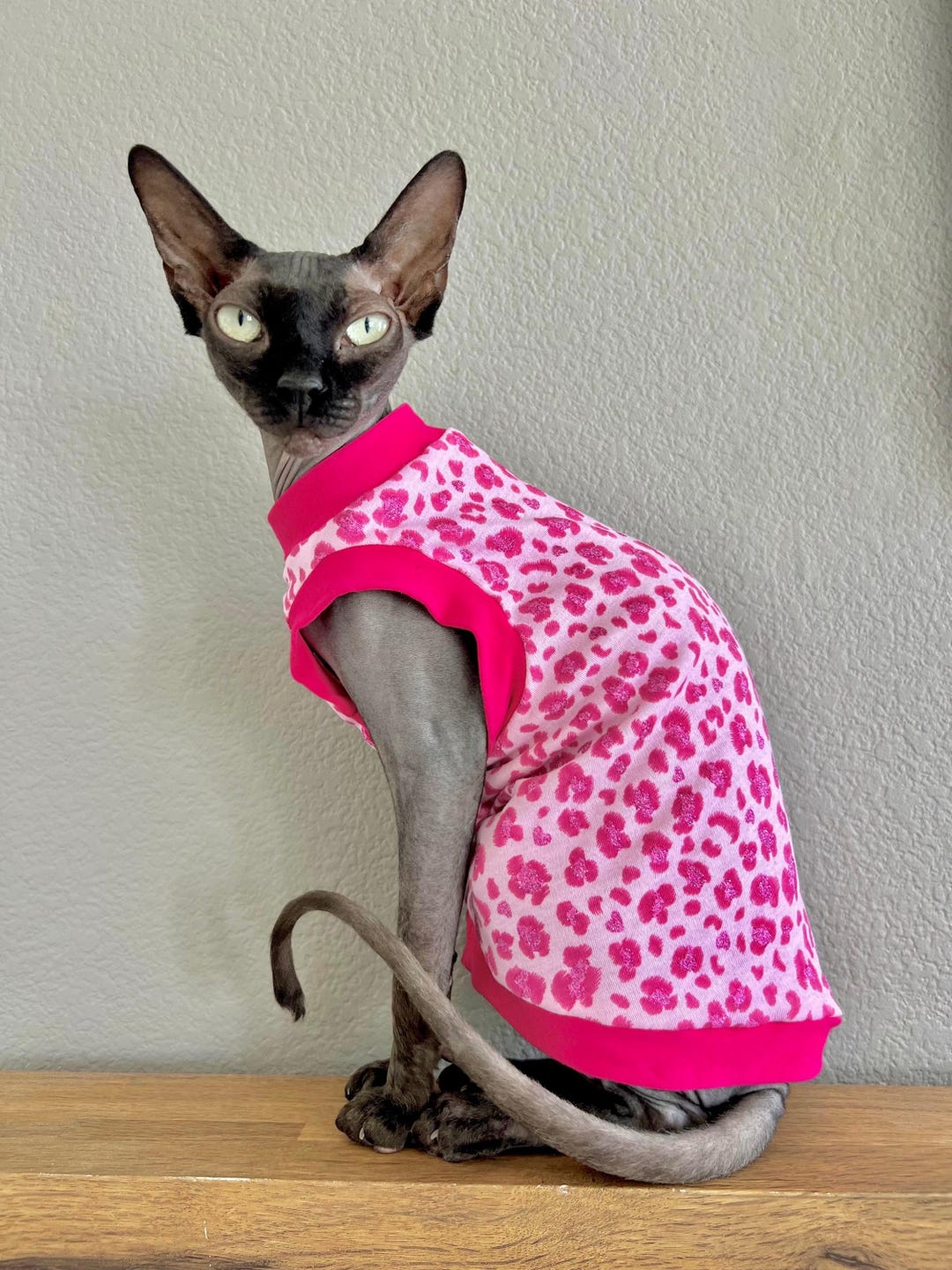 Sphynx Cat Clothes Sphynx Cat Shirt One Arm Hole Sphynx Shirt Long ...