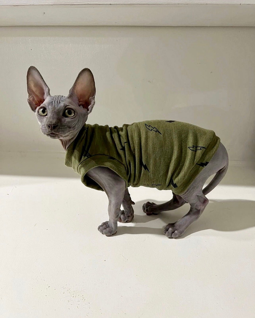 Sphynx Cat Shirt Sphynx Cat Clothes Hairless Cat Clothes Sphynx Cat ...