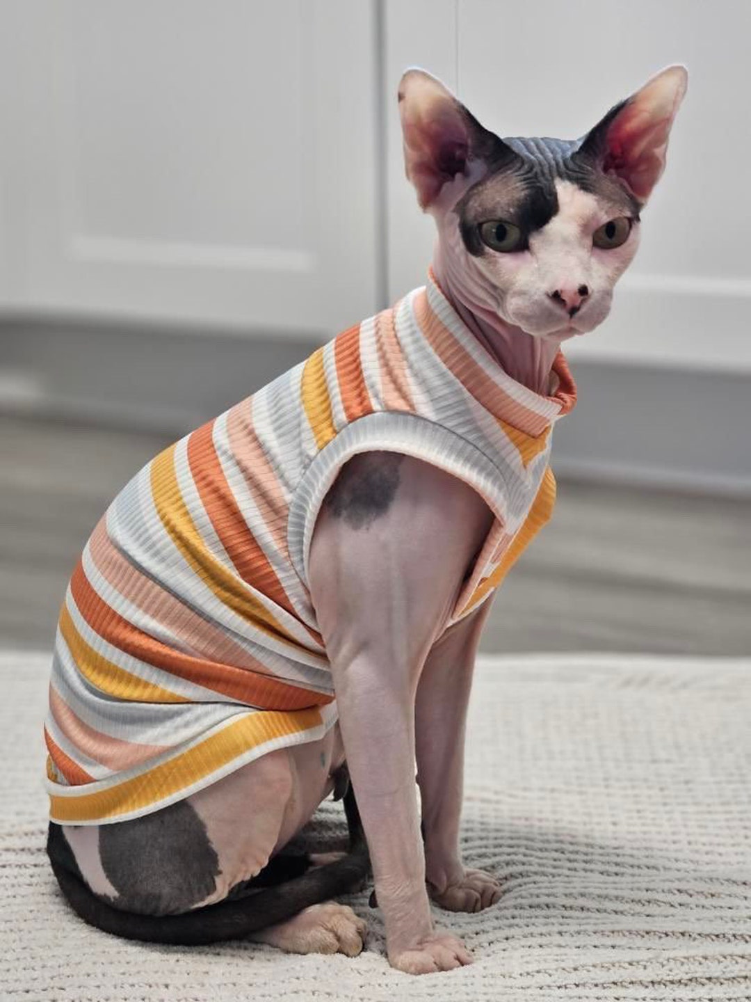 Sphynx Cat Shirt Sphynx Cat Clothes Hairless Cat Clothes Sphynx Cat ...