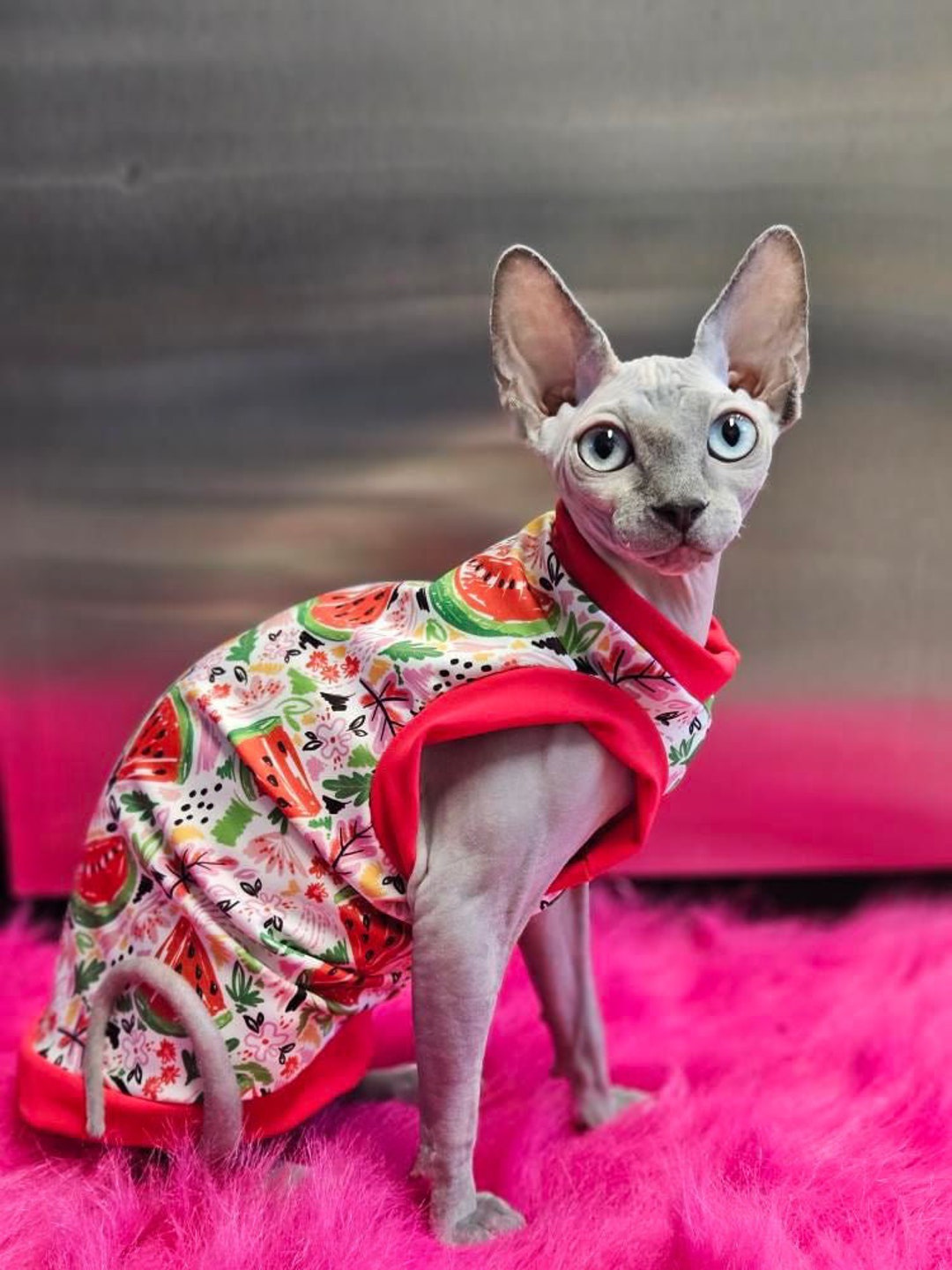 Sphynx SPF Shirt Sphynx Cat UV Shirt Sphynx Cat UV Protected Shirt ...