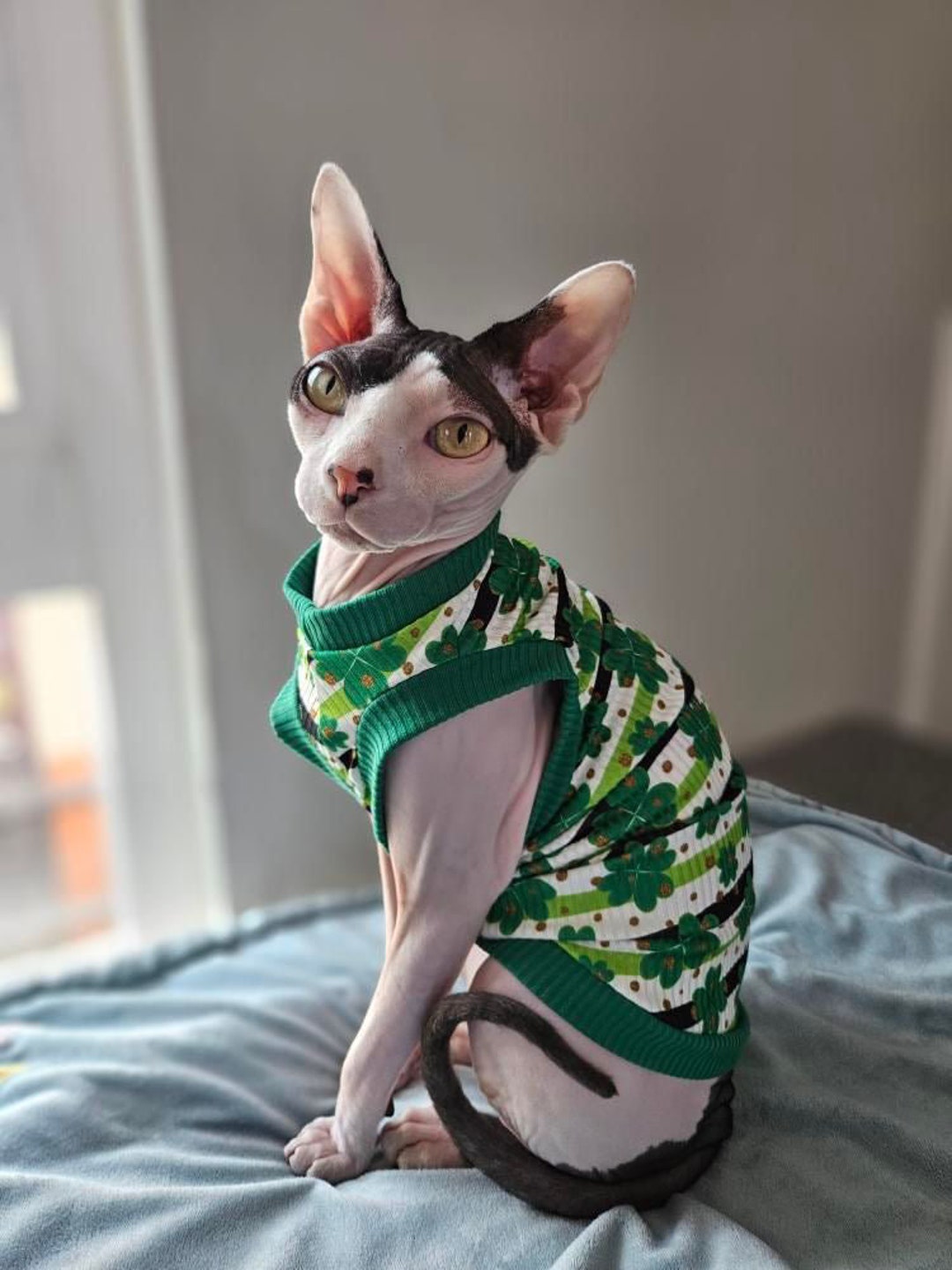 Sphynx Cat Shirt Sphynx Cat Clothes Hairless Cat Clothes Sphynx Cat ...