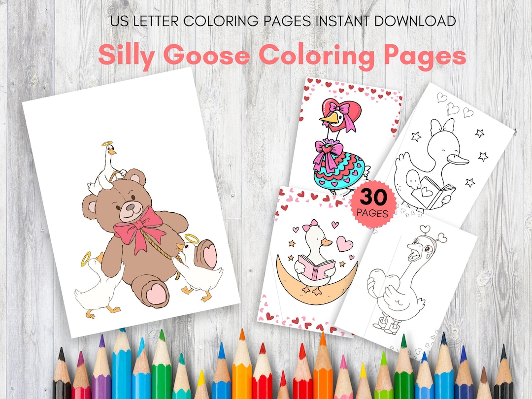 Silly Goose Coloring Pages – 30 Animal Designs for Kids, Adults (PDF ...