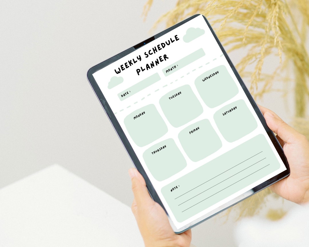 Editable Daily Schedule Planner, Daily Schedule Template, Day Schedule ...