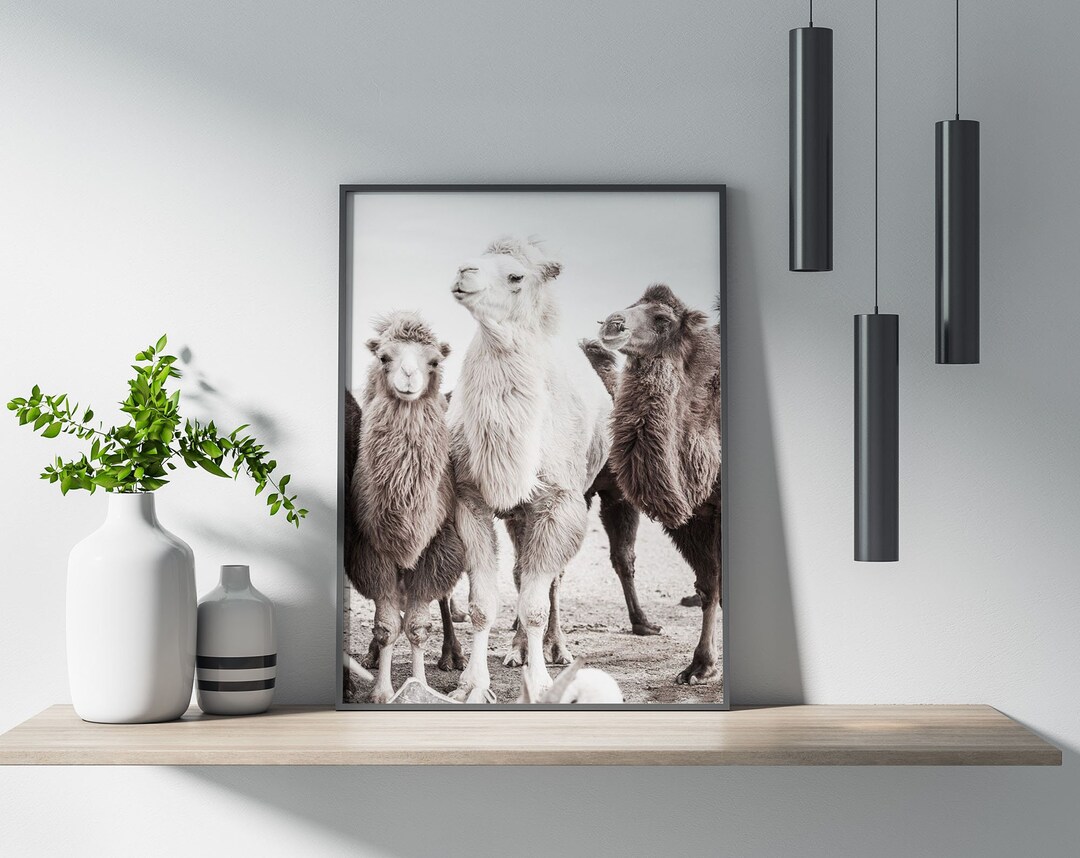 Camels Poster, Minimalist Animal Art, Contemporary Wall Decor - Etsy