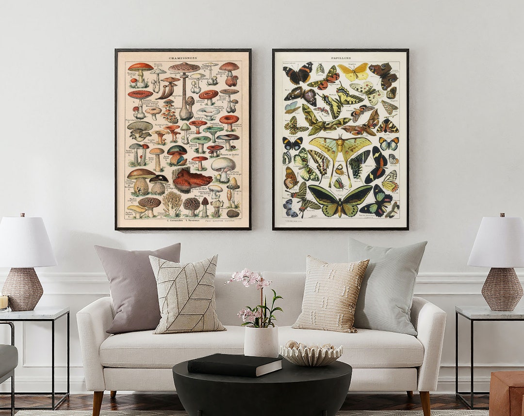 Vintage Wall Posters Set, Instant Download, Digital, Mushrooms ...