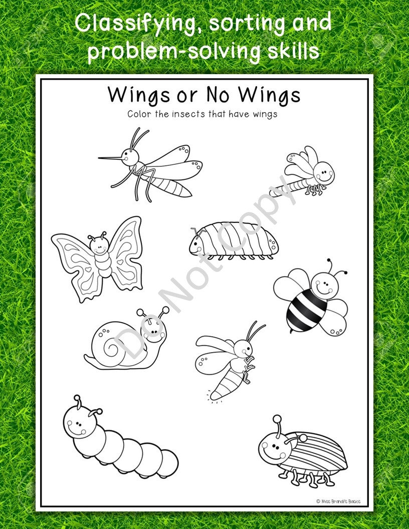 Preschool Bug Themed Worksheets Digital Download - Etsy