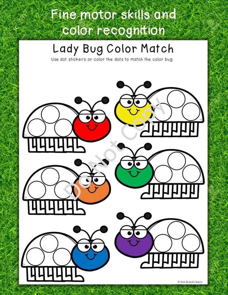 Preschool Bug Themed Worksheets Digital Download - Etsy