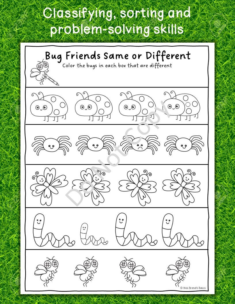 Preschool Bug Themed Worksheets Digital Download - Etsy
