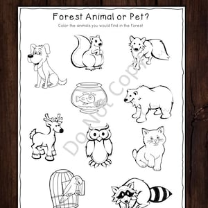 Preschool Camping Themed Worksheets Digital Download - Etsy