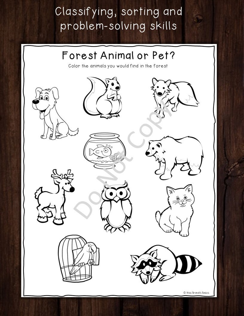 Preschool Camping Themed Worksheets Digital Download - Etsy