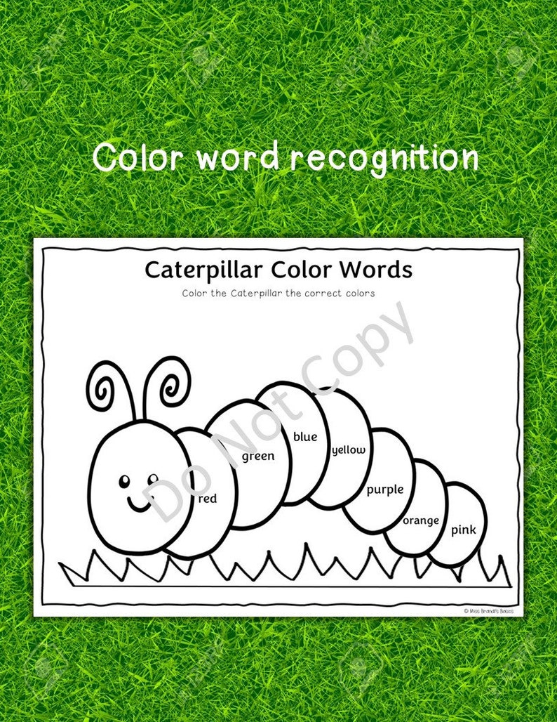 Preschool Bug Themed Worksheets Digital Download - Etsy