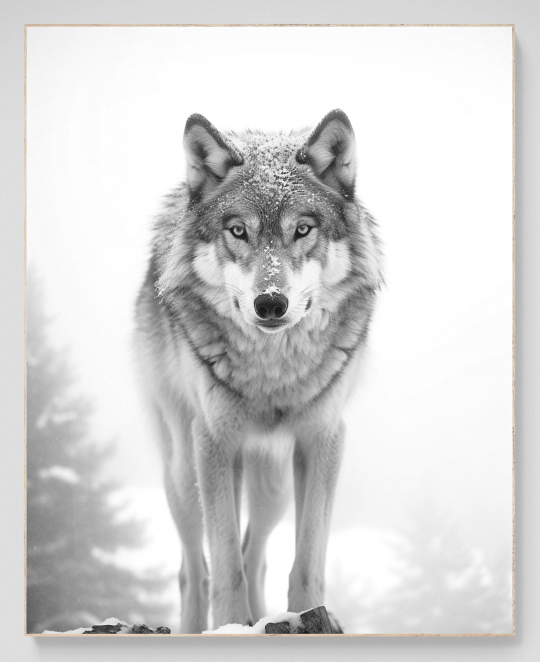 Grey Wolf Printable Art Download Printable Wall Decor Printable Wall ...