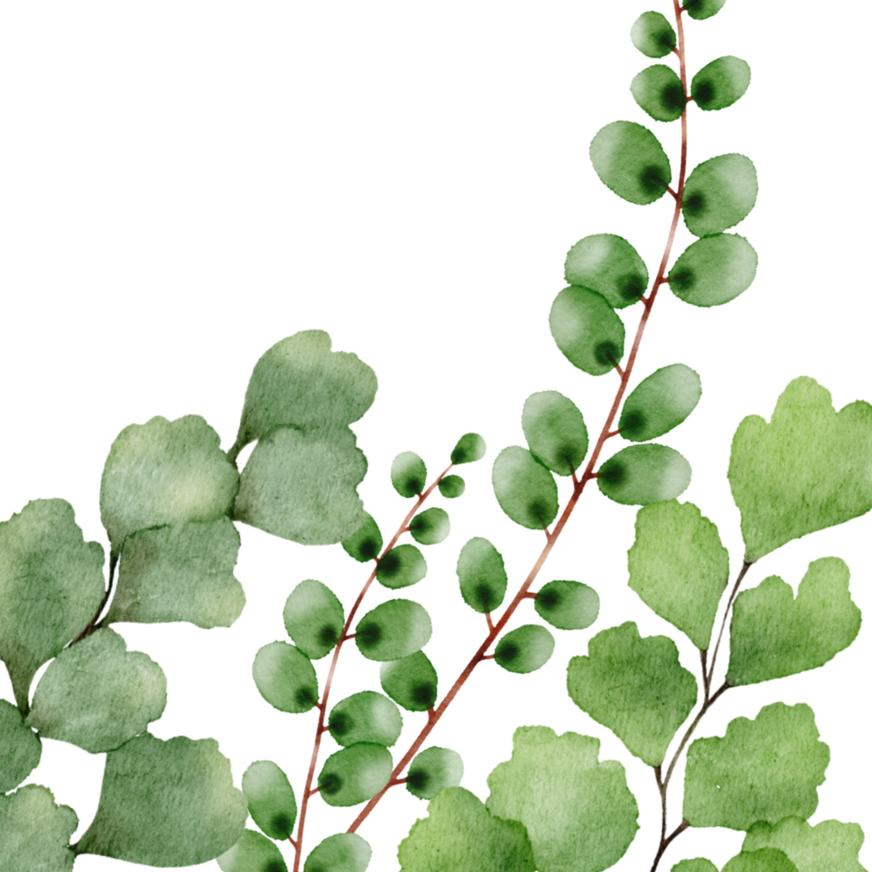 Fern Set of 2 Print Gallery Wall Set | Fern Print Wall Art | Fern ...