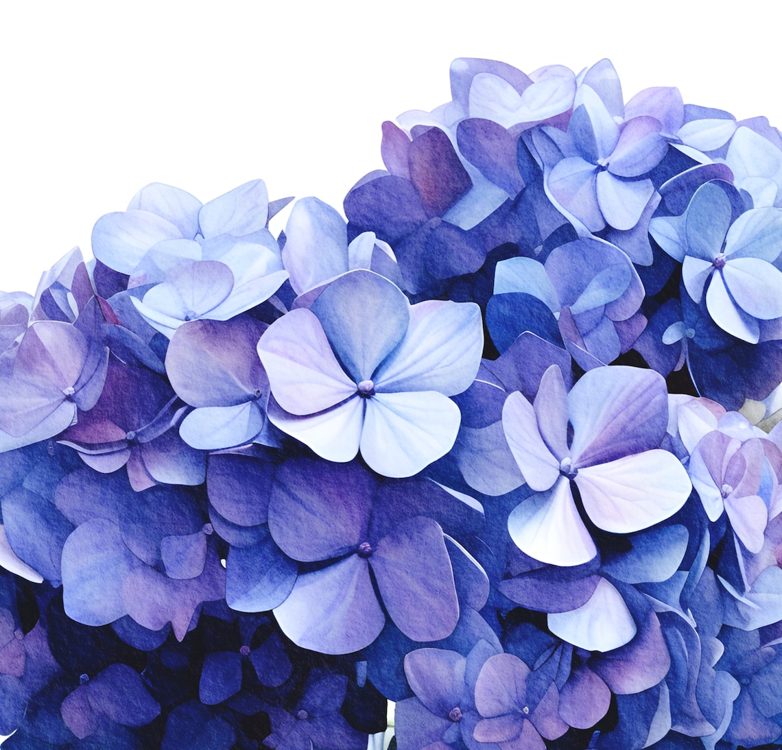Hydrangea Print Set | Purple Flower Print Gallery Wall Set | Watercolor ...