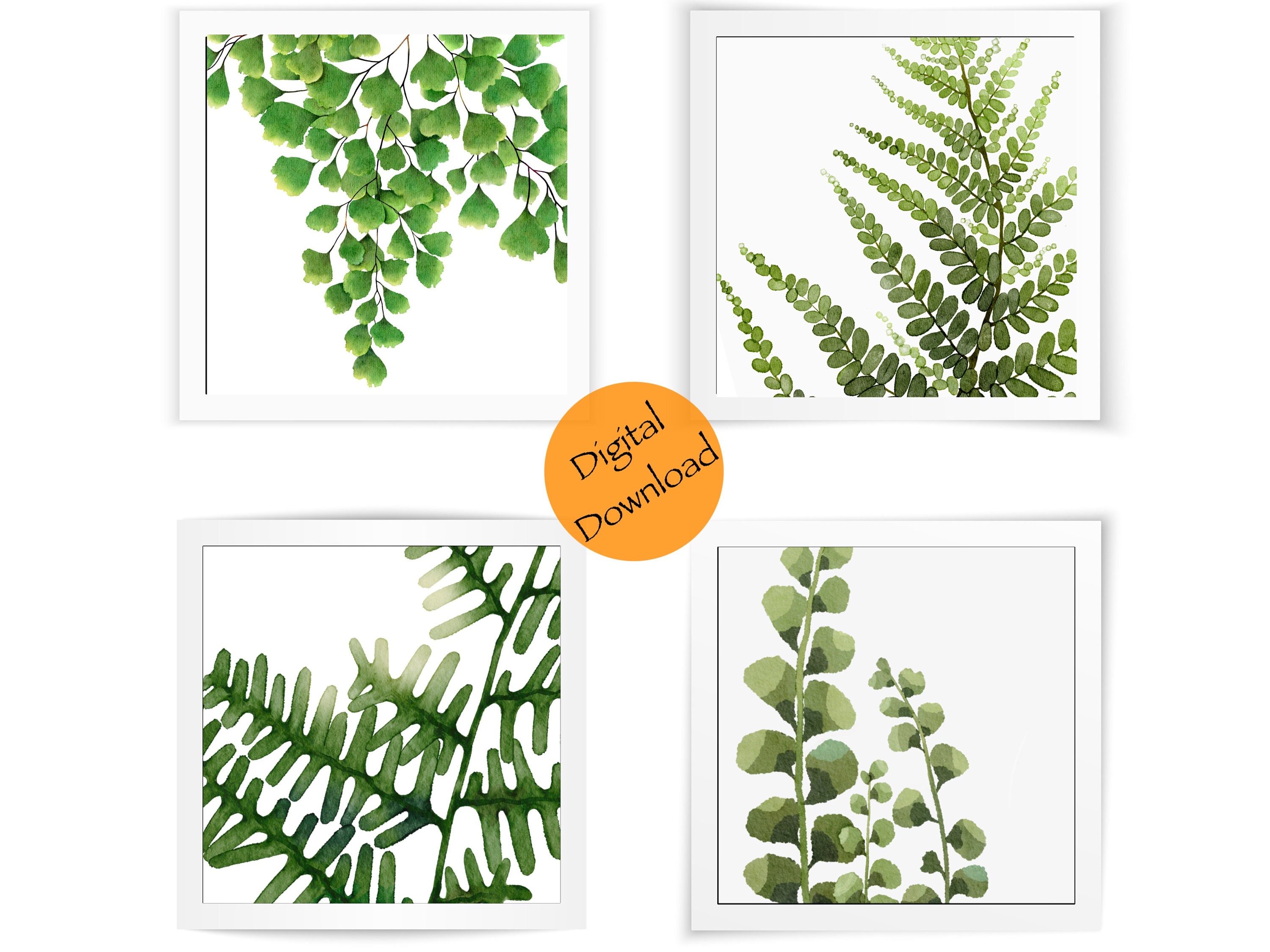 Fern Print Gallery Wall Set | Fern Print Wall Art | Fern Leaves Living ...