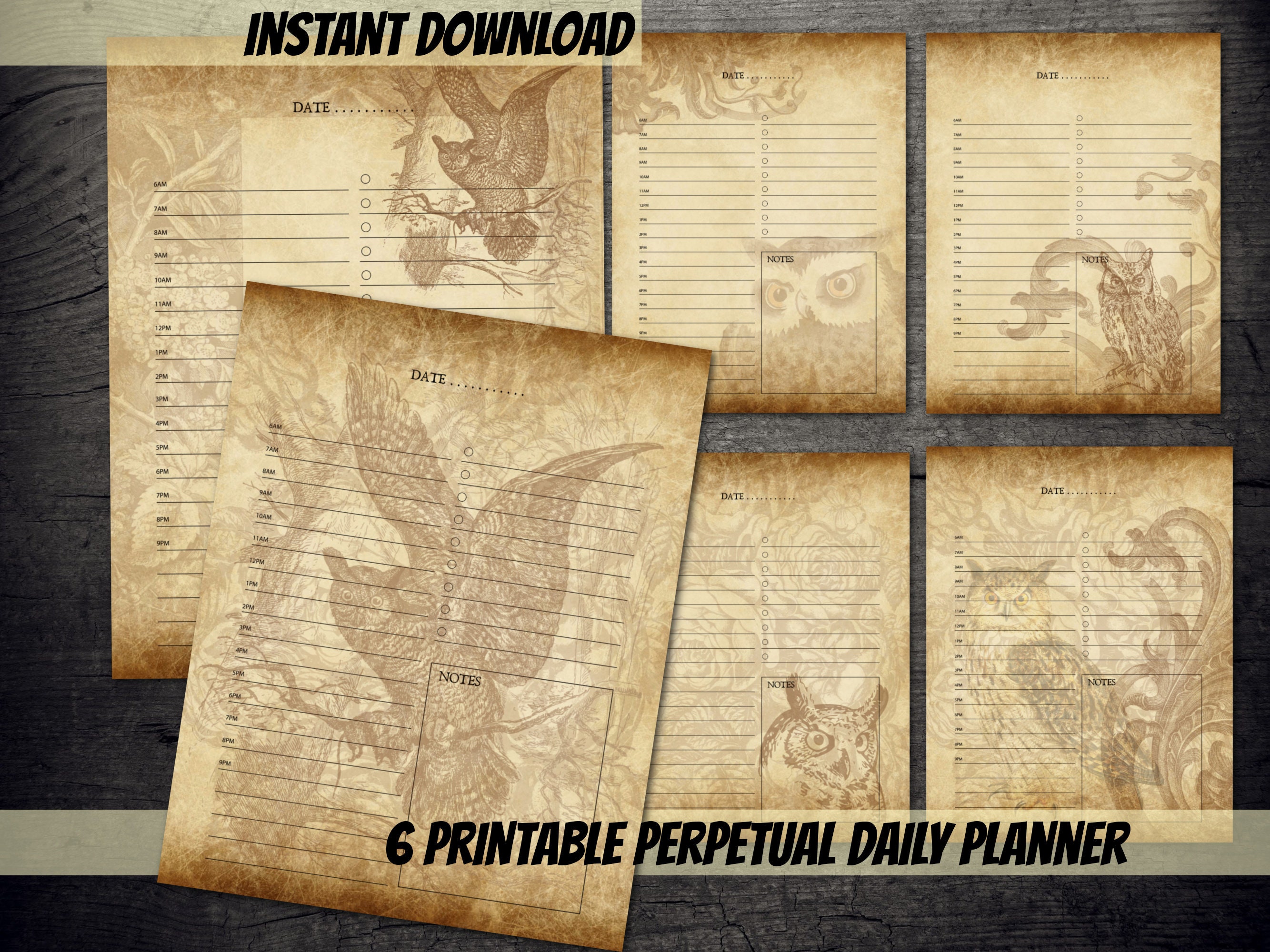 PRINTABLE Diy Vintage Owl Perpetual Daily Planner Calendar Bundle-faded ...