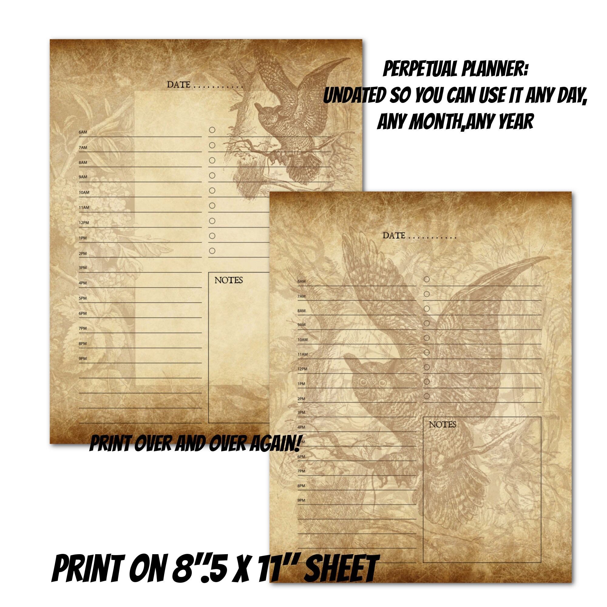 PRINTABLE Diy Vintage Owl Perpetual Daily Planner Calendar Bundle-faded ...