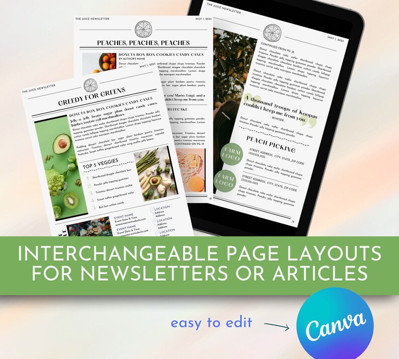 Newsletter Template: PDF Magazine & Article Layout (editable Canva ...